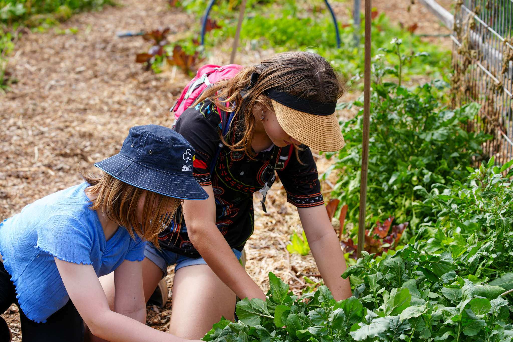 Autumn Fair 2025 | The Alice Springs Steiner School