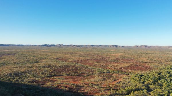 Gidgee Healing