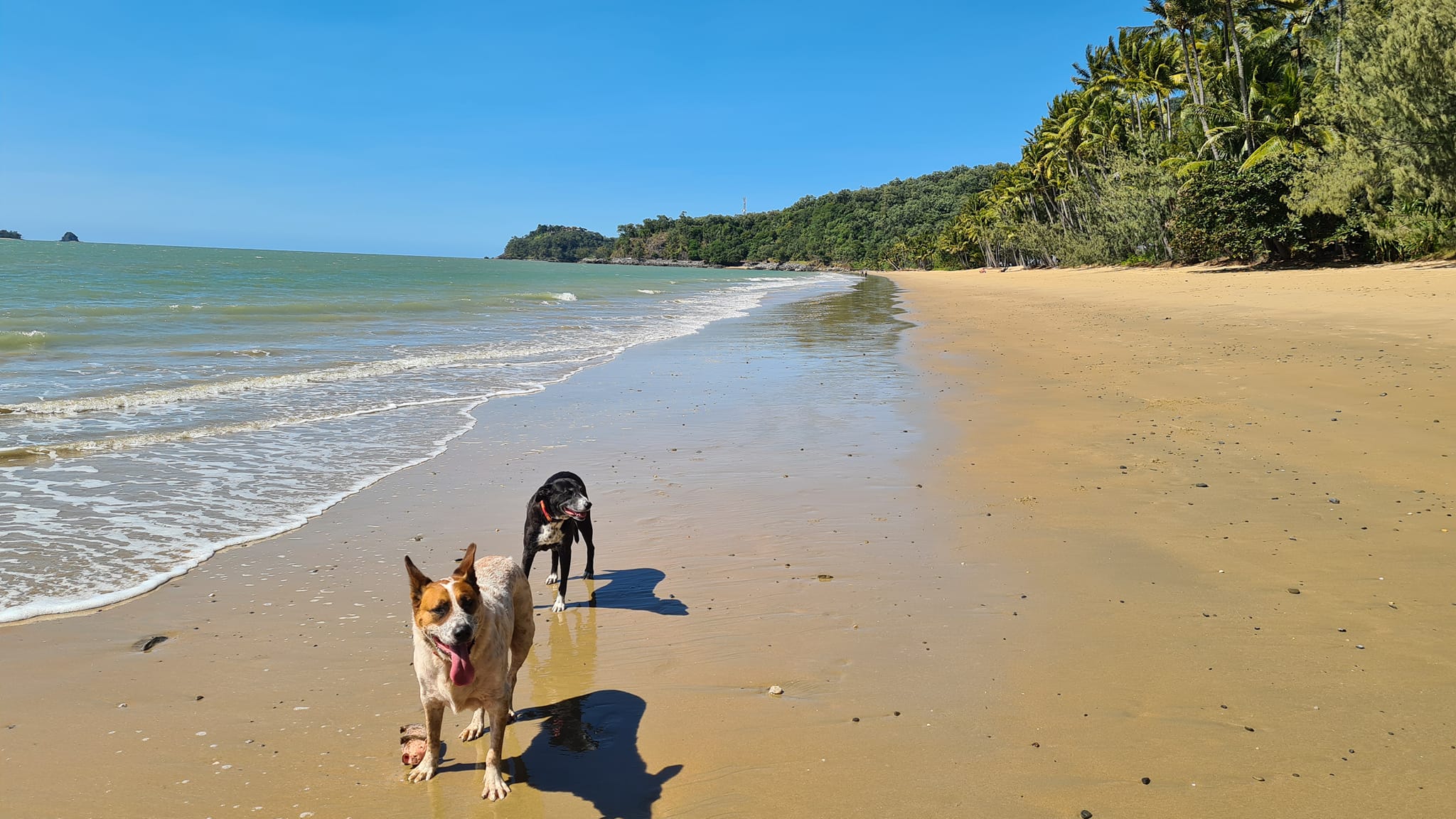 Emergency Medicine Spotlight: Queensland’s first Indigenous FACEM’s ...