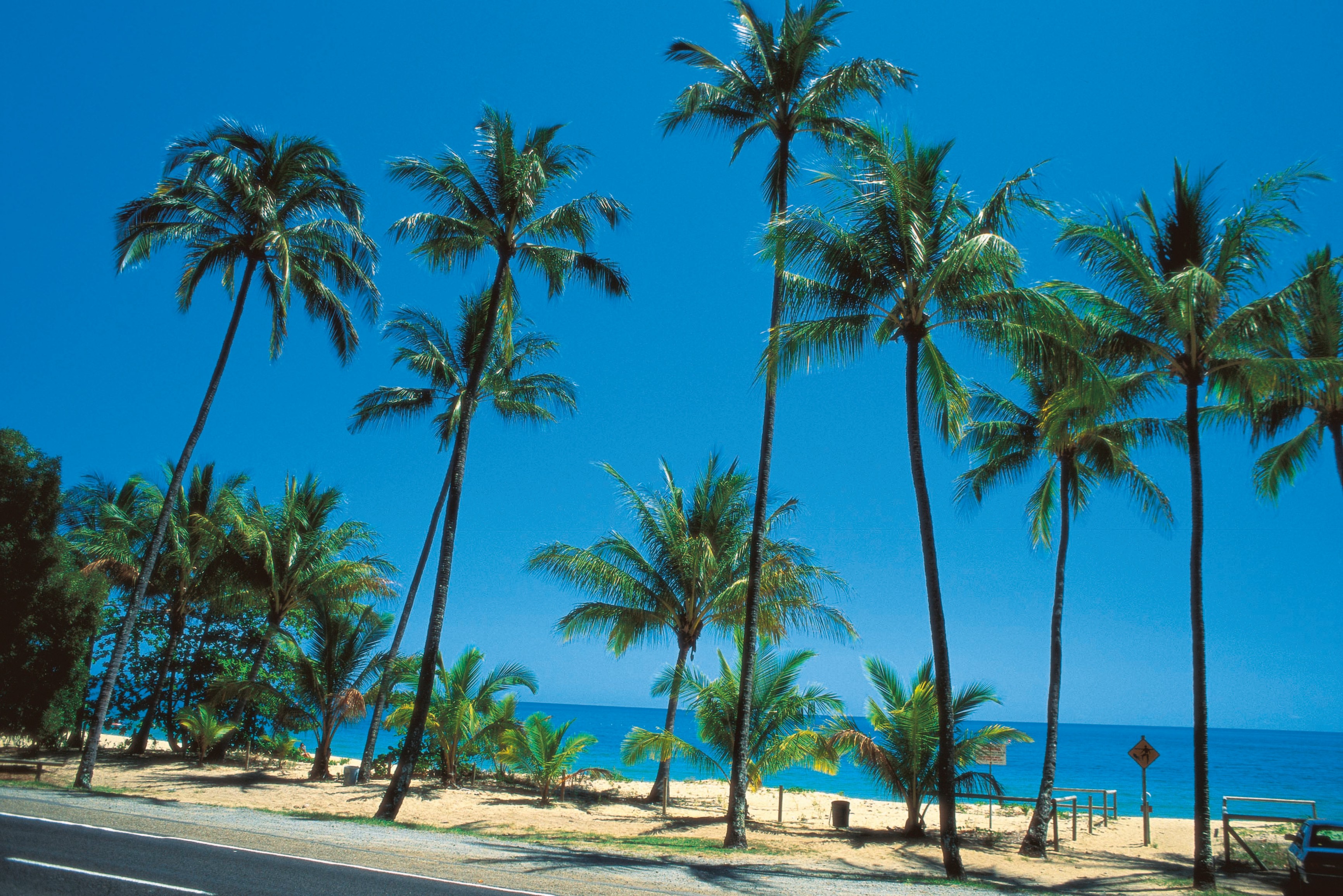 New doctors seek out the Tropical Far North experience for Internship ...