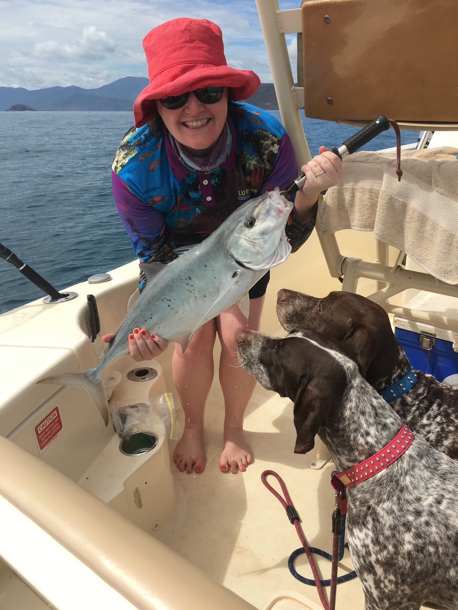 Dr Prue Wallin: A Passion for Rural Medicine | NQRTH